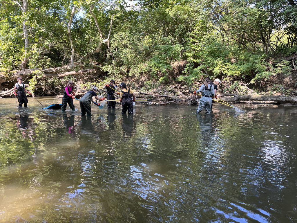 Fishing for Clues About Stream Health in Mill Creek: A Hopeful Story of ...
